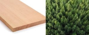 Todo sobre la madera de abeto | Maderea