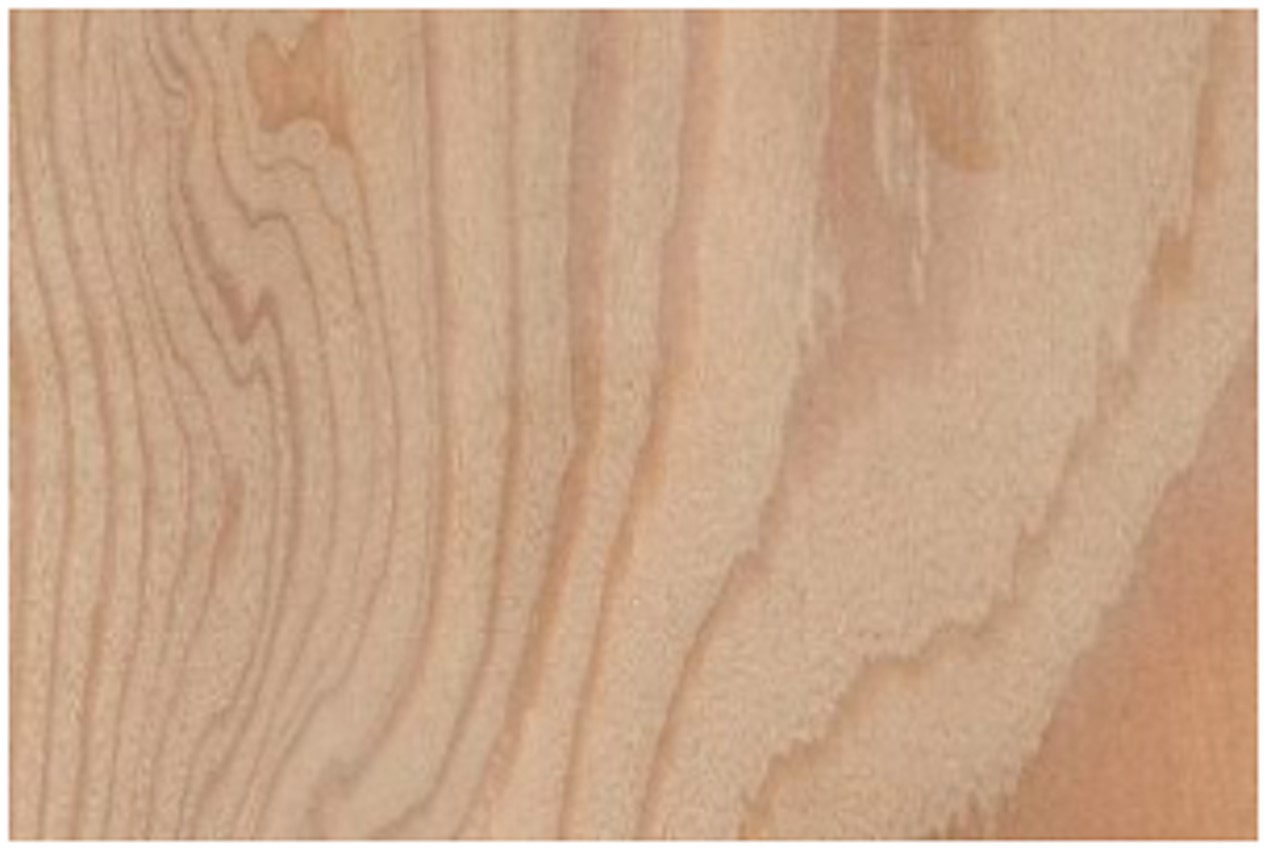 Las maderas más resistentes a la intemperie | Maderea