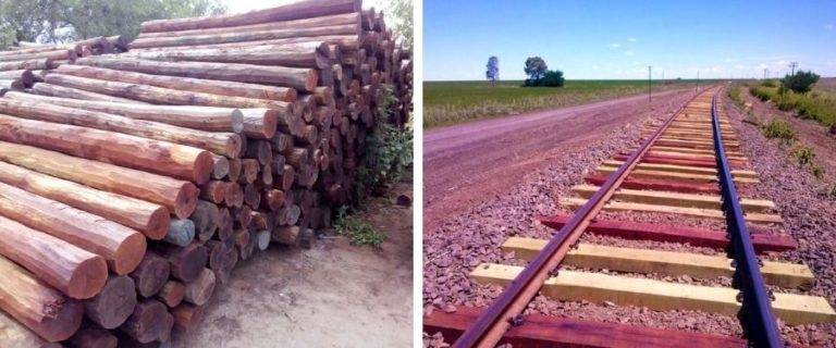 Madera de quebracho; características y usos | Maderea