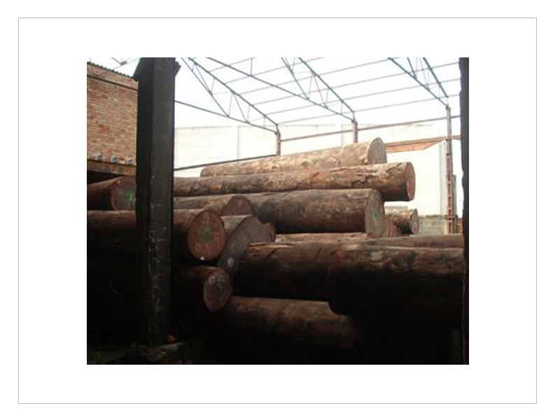 Proveedores de madera tropical | Maderea