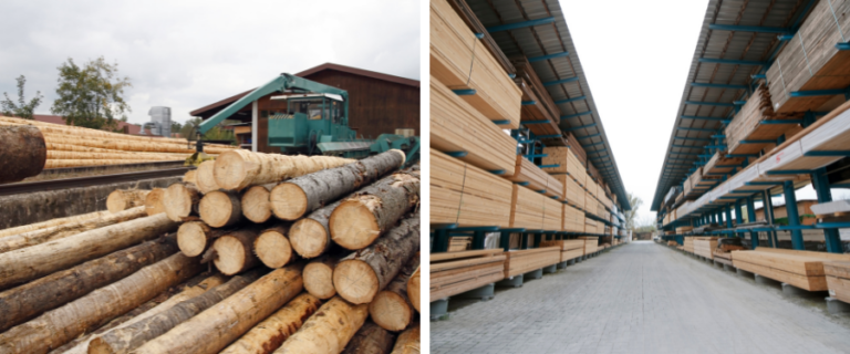¿Cómo se obtiene la madera aserrada? | Maderea