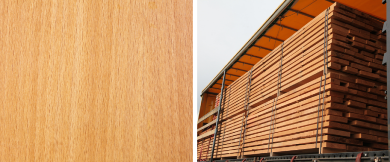 Propiedades y aplicaciones profesionales de la madera aserrada de haya ...