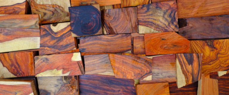 5 especies de madera tropicales más exclusivas | Maderea