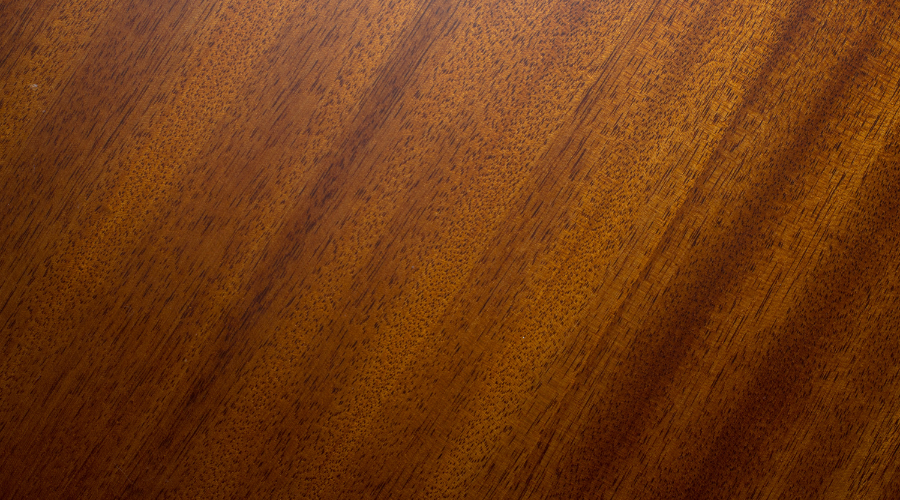 Las 5 especies de madera más utilizadas en el mundoMaderea