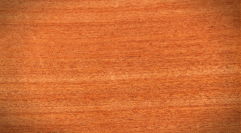 5 especies de madera más oscuras | Maderea