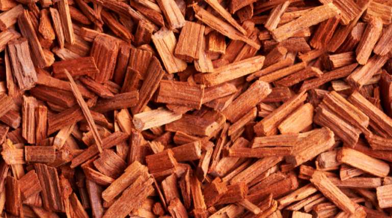 Las 5 especies de madera más lujosas | Maderea