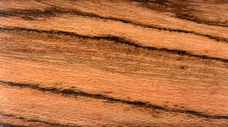 Las 7 especies de madera más caras del mundo | Maderea