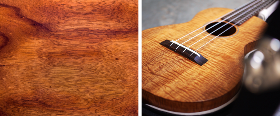 Madera de koa características y usos | Maderea