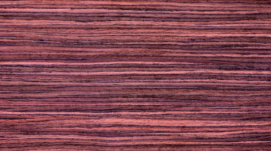 Las 7 especies de madera más caras del mundo | Maderea