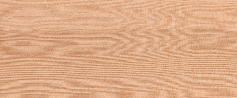 10 Especies de madera más claras | Maderea