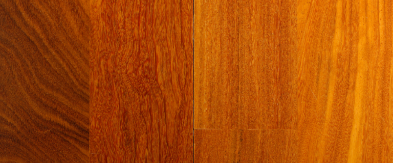 Especies de madera resistentes a la humedad | Maderea