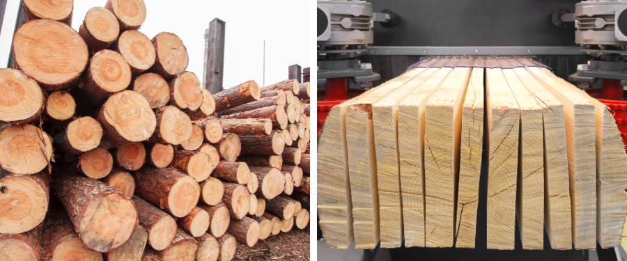 Proceso de la obtención de madera aserrada | Maderea