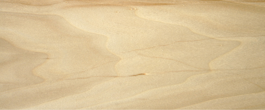 ¿Qué especies de madera flotan? | Maderea